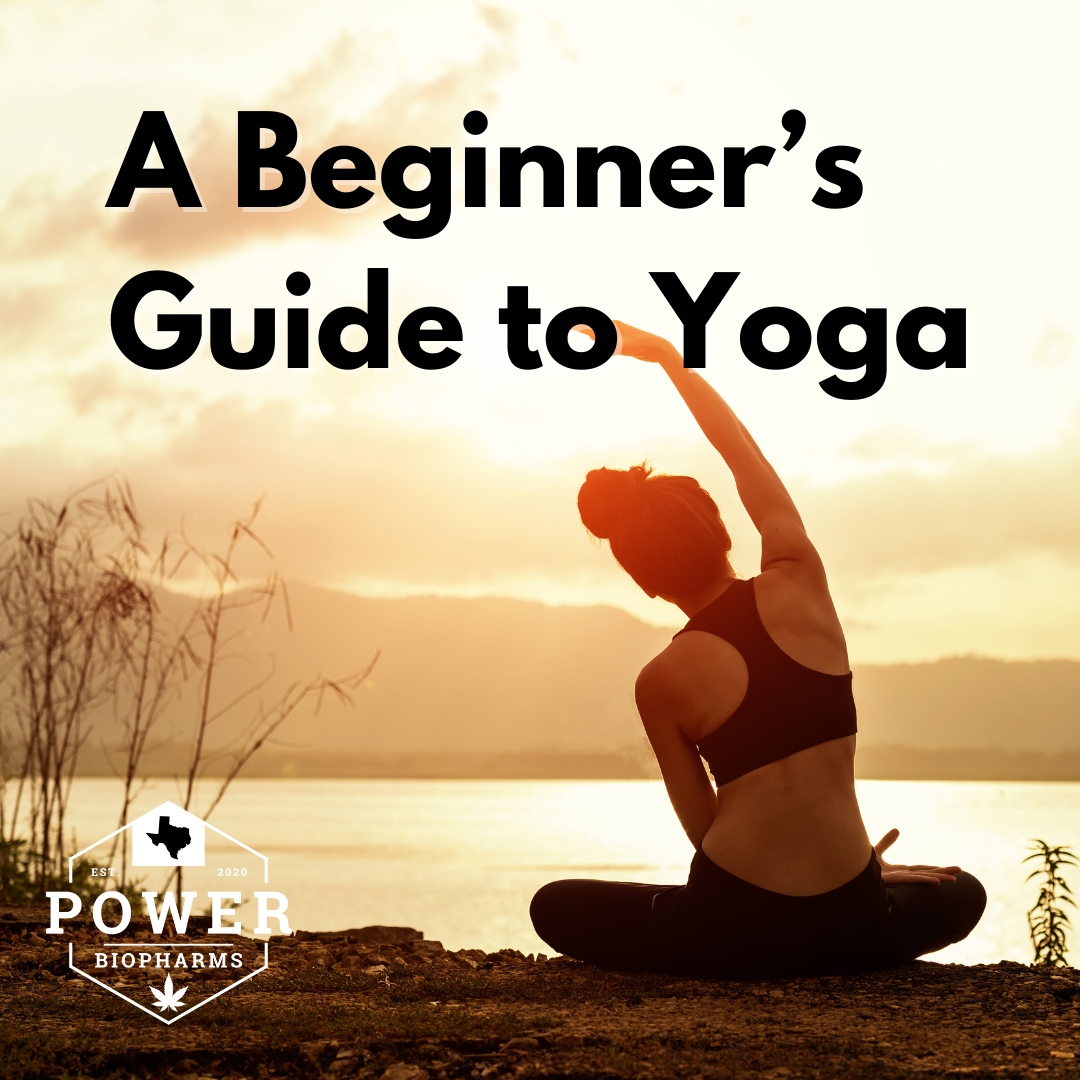 Beginner's Guide to Yoga: Unlocking the Path to Mind-Body Harmony ...