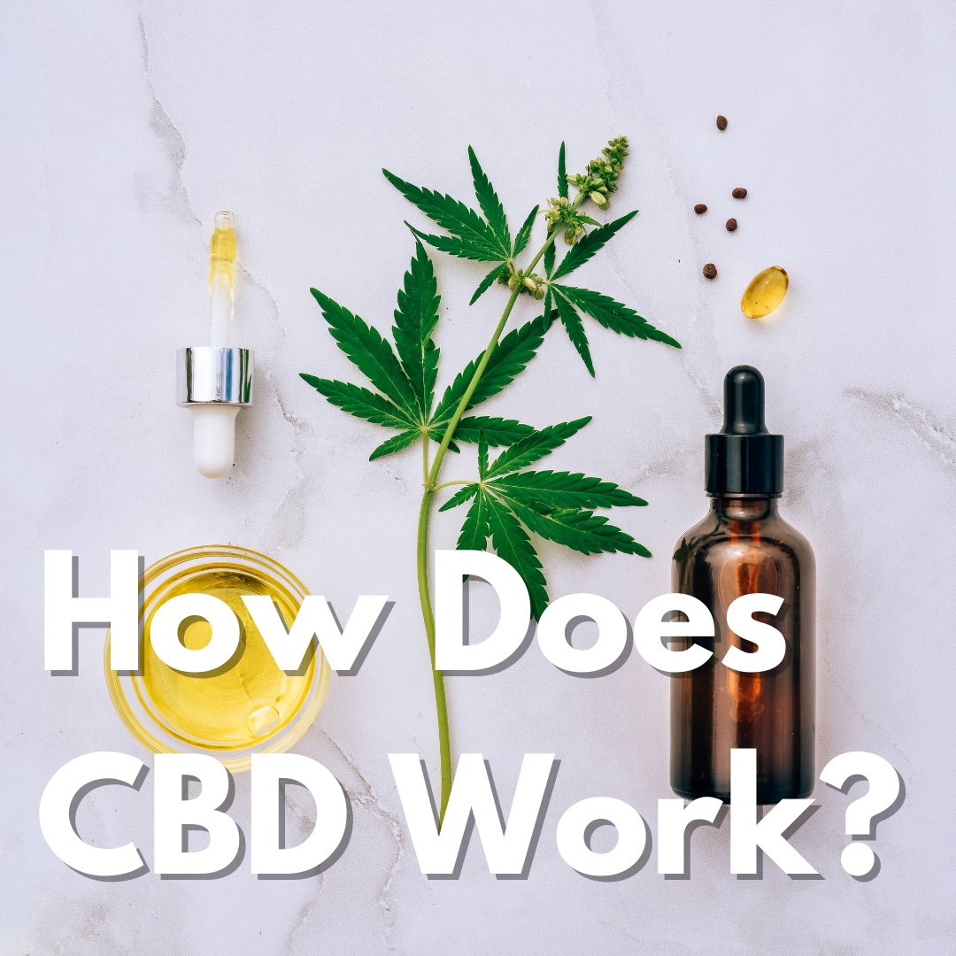 How Does CBD Work? – Power Biopharms
