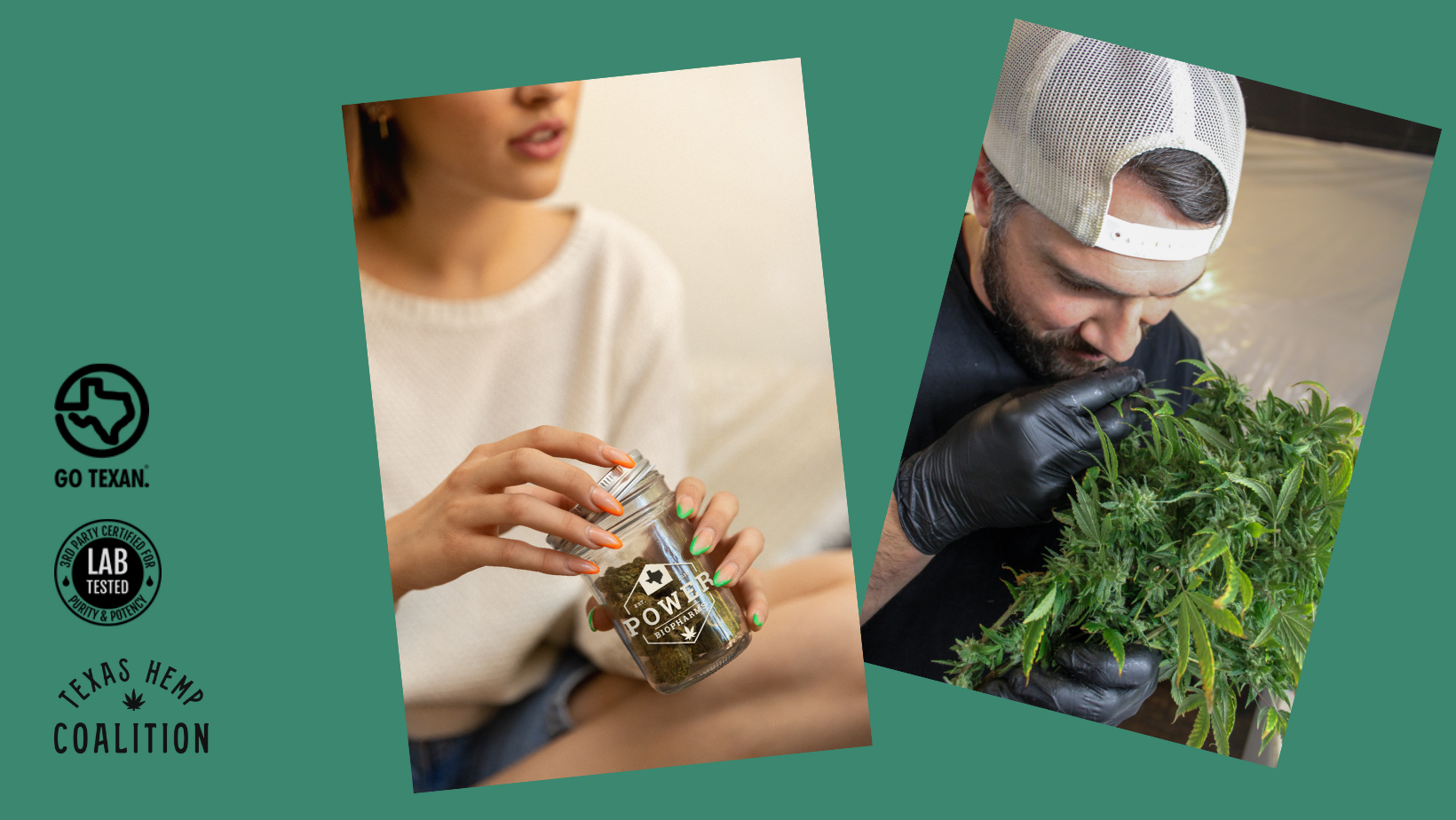 INDOOR GROWN FLOWER & PRE ROLLS – Power Biopharms